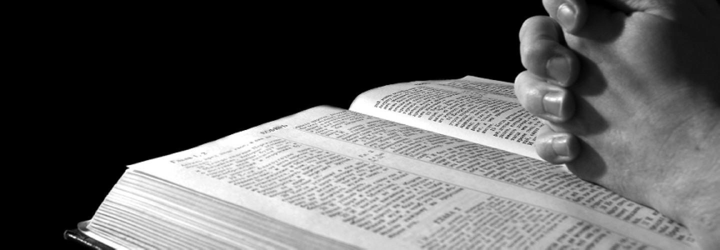 Why Study God’s Word – GraceLife Blog